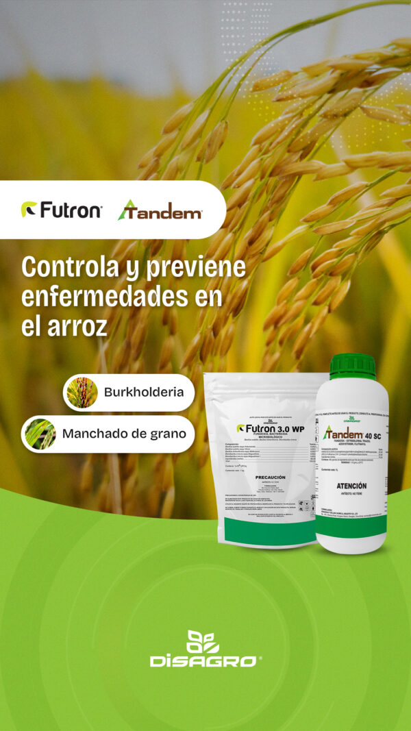 Tandem + Futron - Disagro Panamá