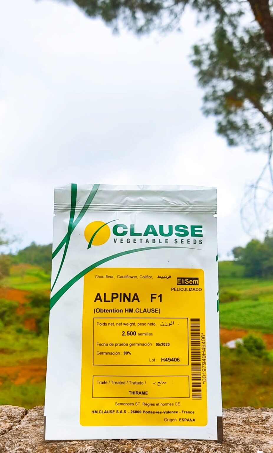 DISAGRO Semillas - Disagro Panamá