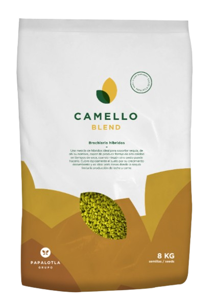 SEMILLAPASTO BRACHIARIA - Disagro Panamá